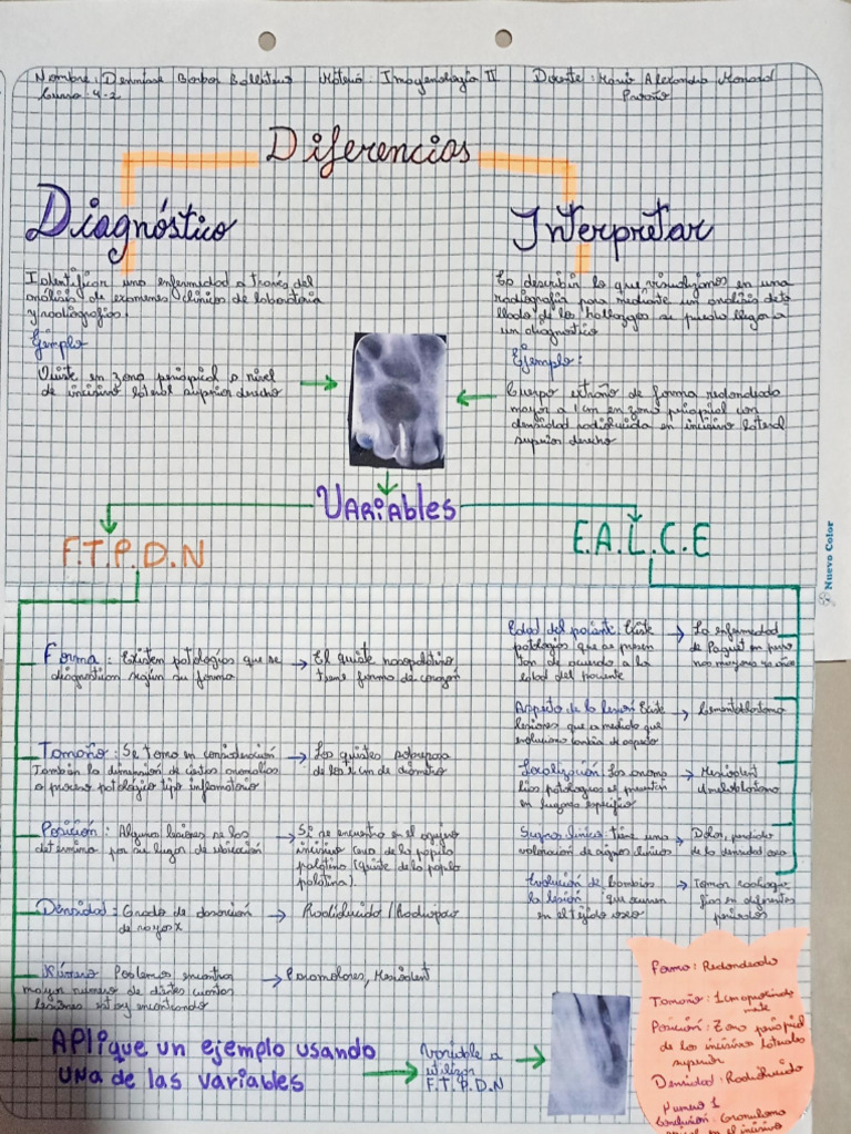 Diferencia Diag y Ínter Dem | PDF