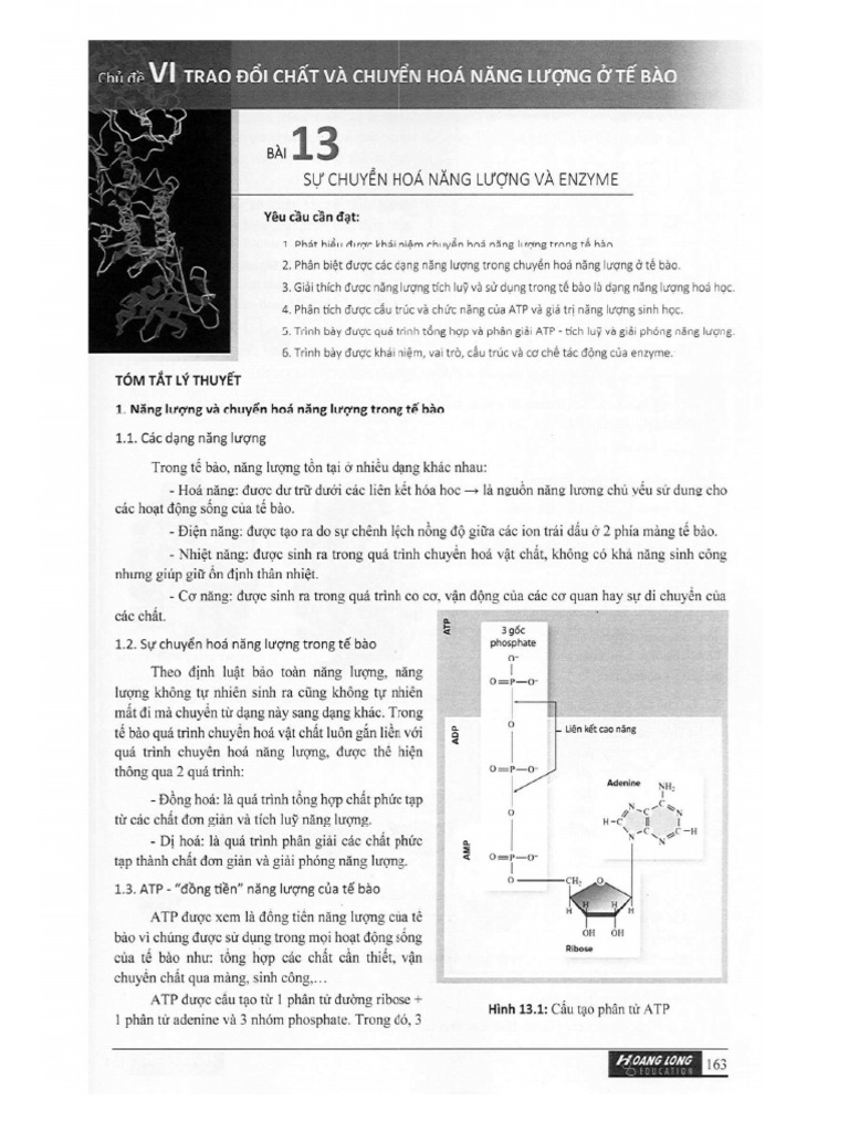 bt sinh 13 14 15 | PDF