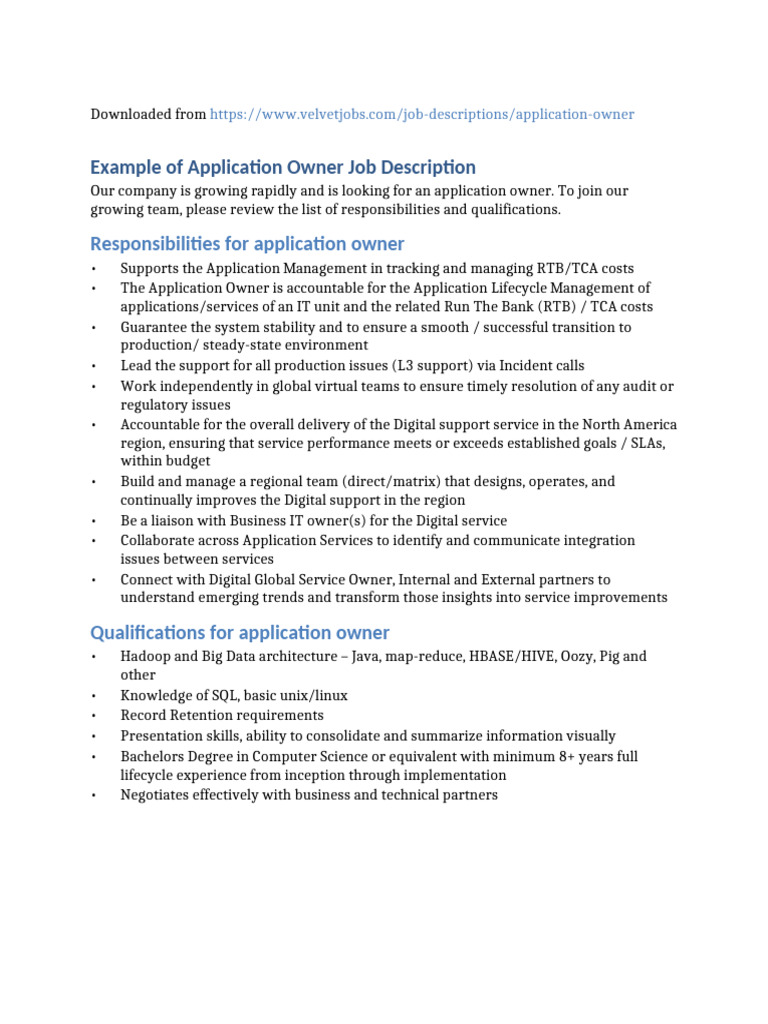 Application Owner Job Description Guide | PDF