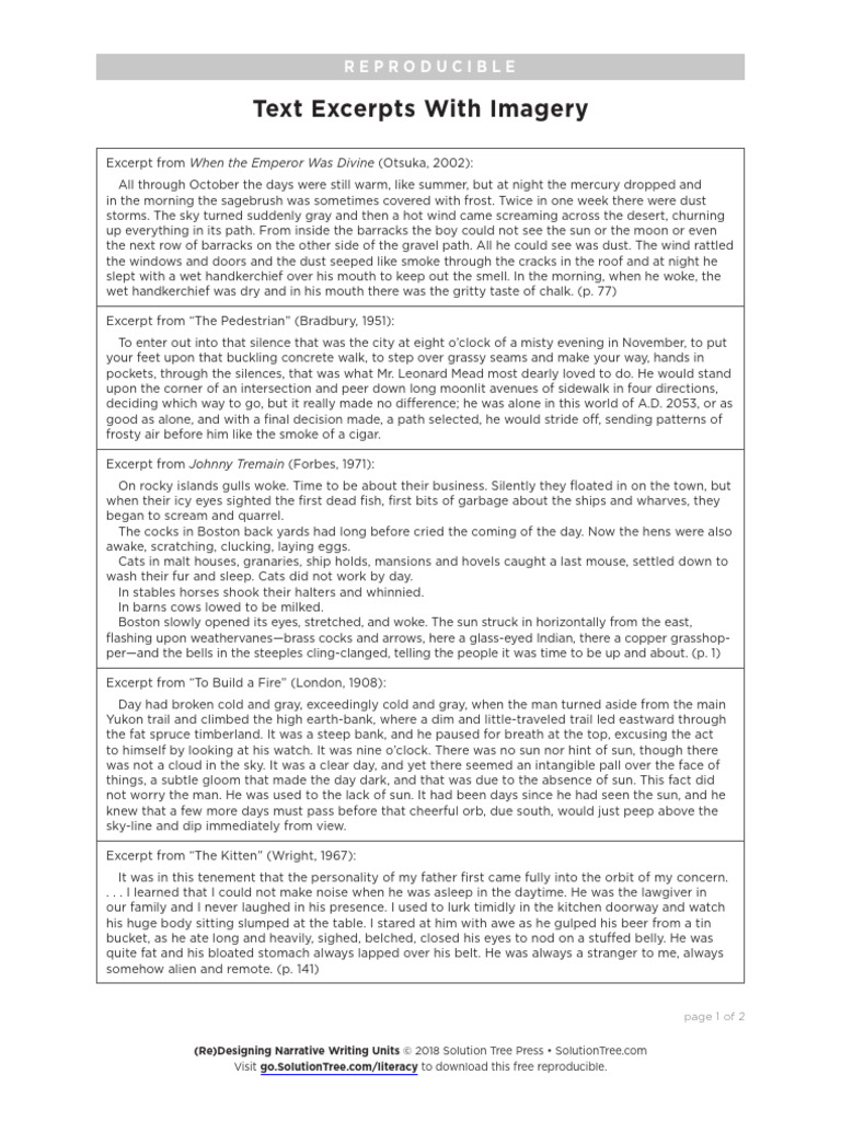 Imagery Excerpts | PDF