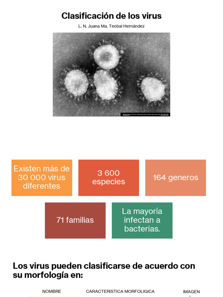 Clasificación de Virus: Tipos y Características | PDF | Virus ...