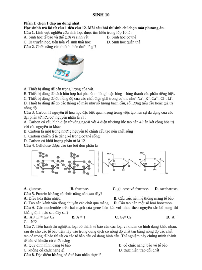 GK1 SINH 10.ĐỀ CƯƠNG ÔN TẬP (HS) | PDF