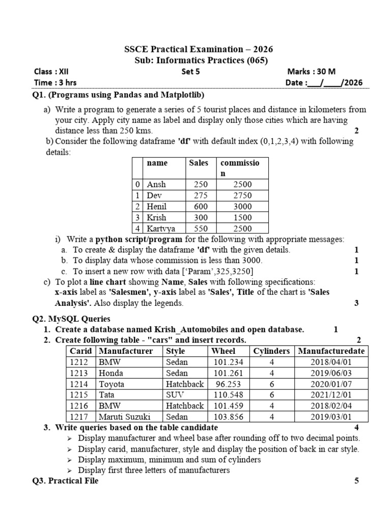 SSCE 2026 Informatics Practices Exam | PDF | Motor Vehicle | Car