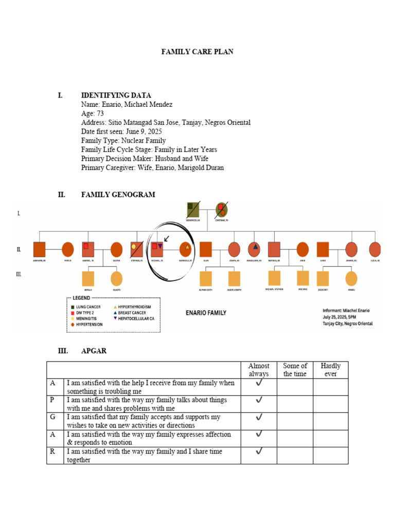 Family Care Plan for Seniors in Need | PDF | Caregiver | Health Care