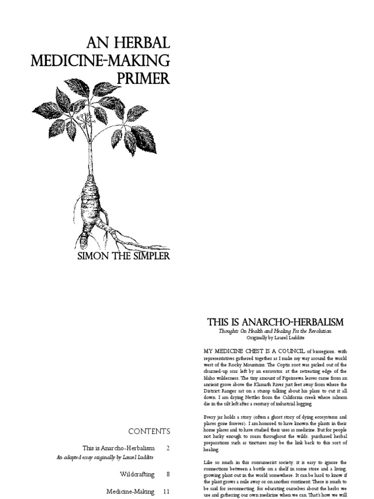 An Herbal Medicine Making Primer Web Reading | PDF | Brewing | Glycerol