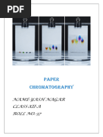Ink Chromatography Lab Guide | PDF | Chromatography | Ink