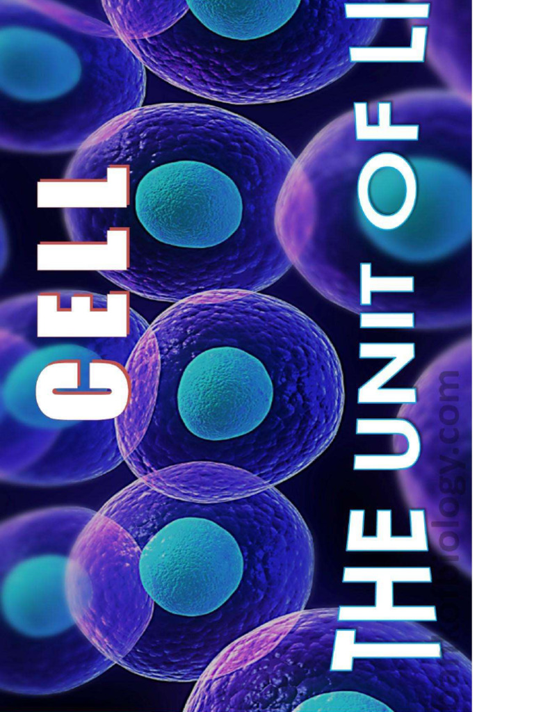 Ppt of Today Lacture Notes 05 | PDF