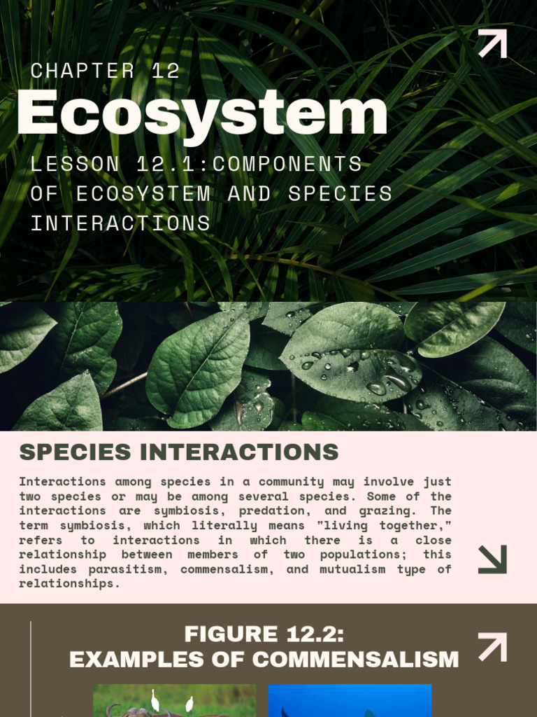 Green and White Modern Ecosystem Presentation 20241206 105811 0000 | PDF | Symbiosis | Natural ...