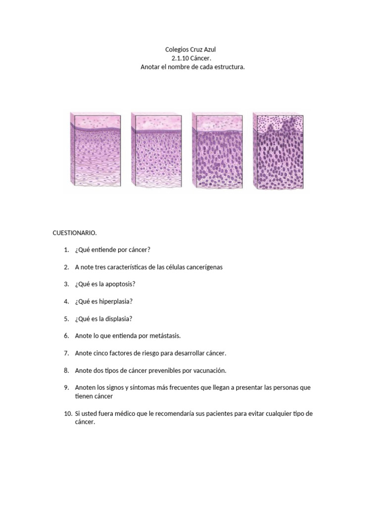 2.1.10 Cáncer | PDF