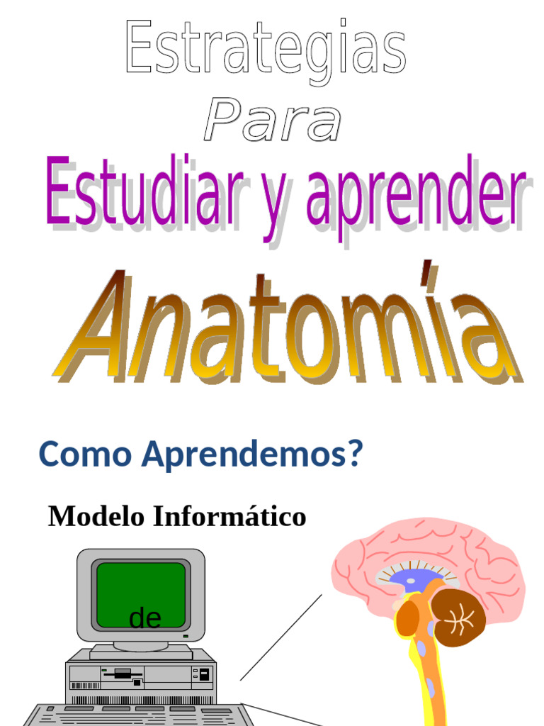 4_COMO_ESTUDIAR_ANATOMIA (1) | PDF | Memoria | Cerebro