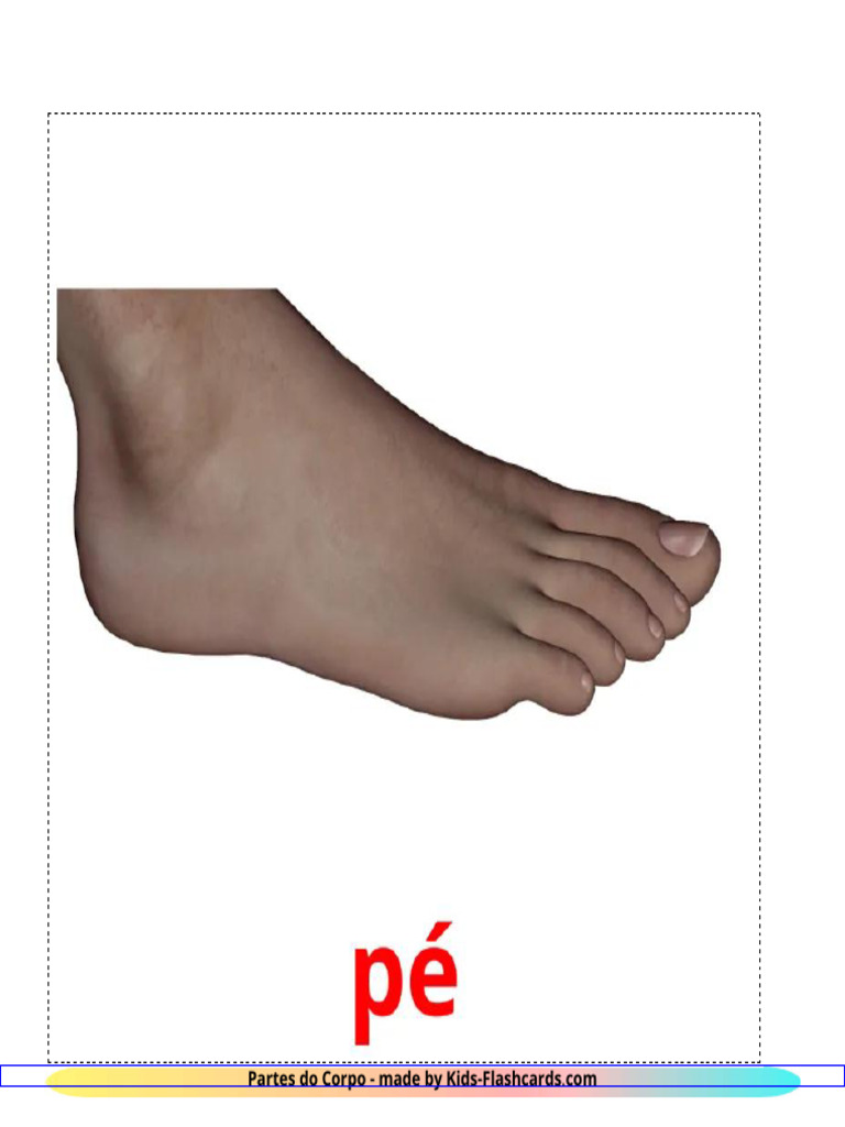 partes-do-corpo-1-square | PDF