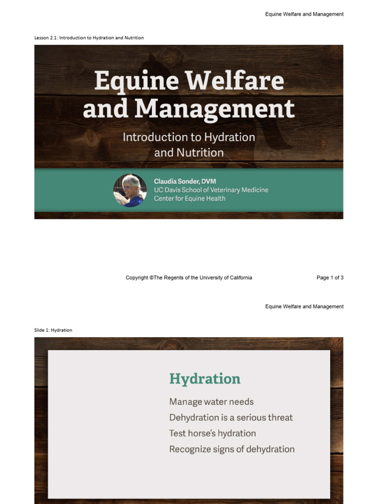 Hydration 1 | PDF