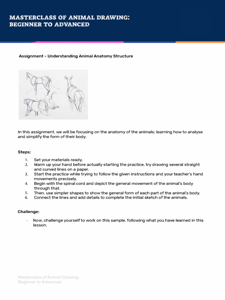 Masterclass of Animal Drawing Project.pdf | PDF | Drawing