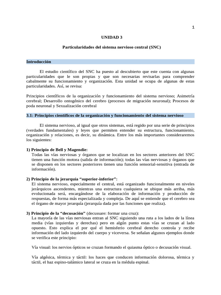 3 Particularidades del SNC (2) | PDF | Hemisferio cerebral | Neurona
