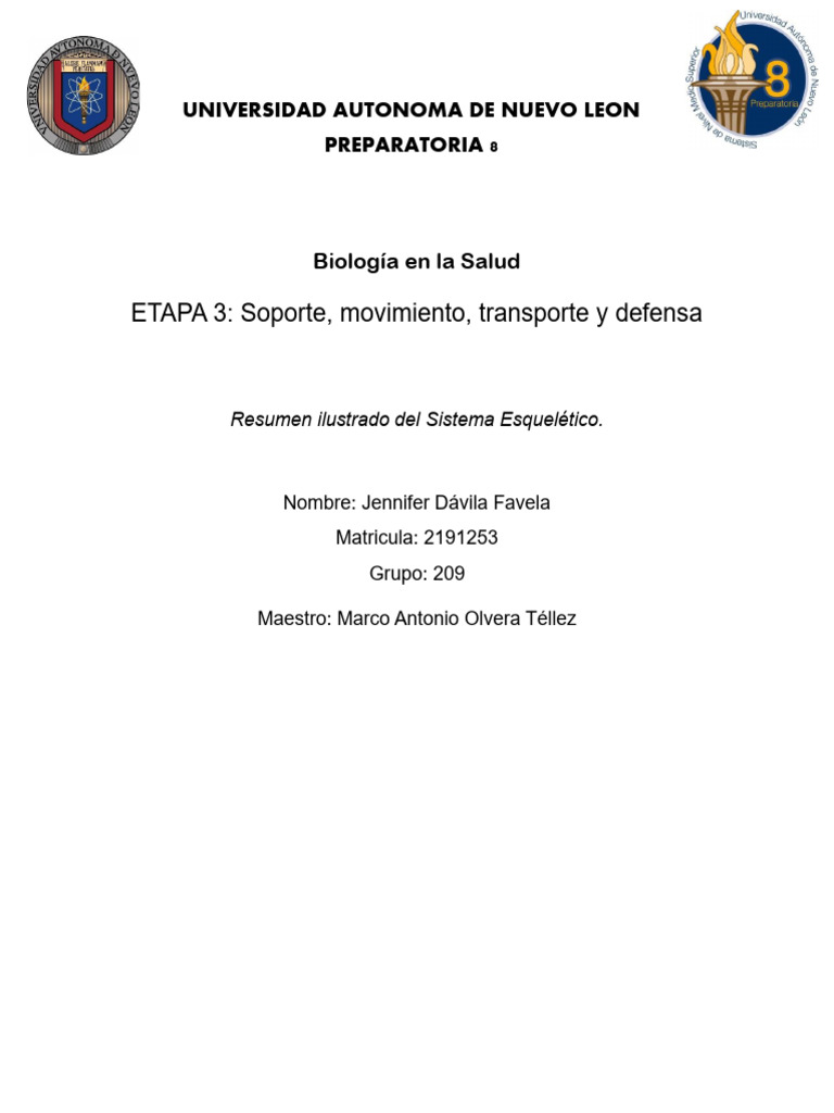 BioSal ETAPA3 RESUMEN | PDF | Hueso | Esqueleto