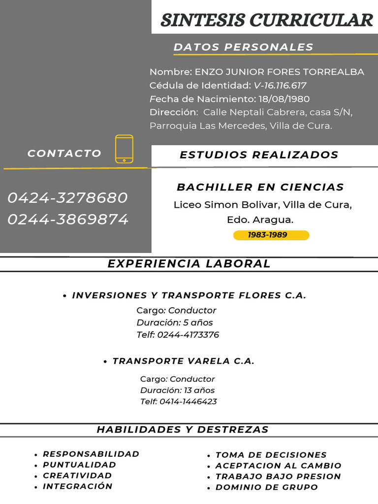 Curriculum Enzo Flores-2 | PDF