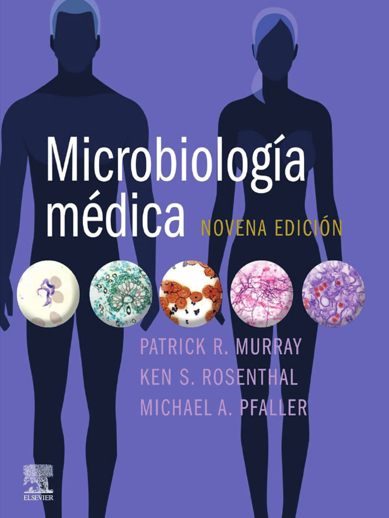 Portadas Libros Medicina Lourdes | PDF