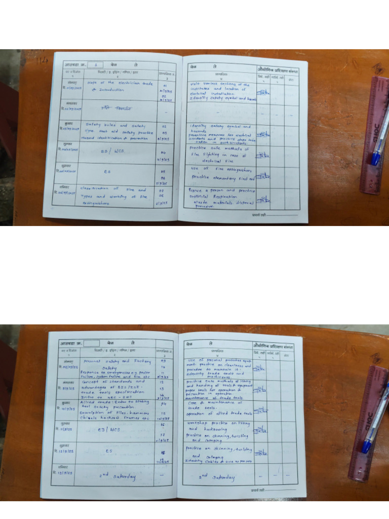 Daily Diary PDF | PDF