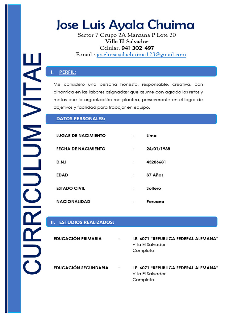Cv Jose Luis_organized | PDF | Información