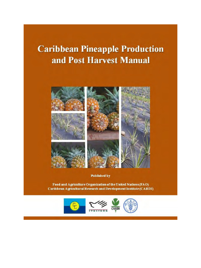 Cbbean Pineapple Production Post Harvest Manual | PDF | Pineapple | Leaf
