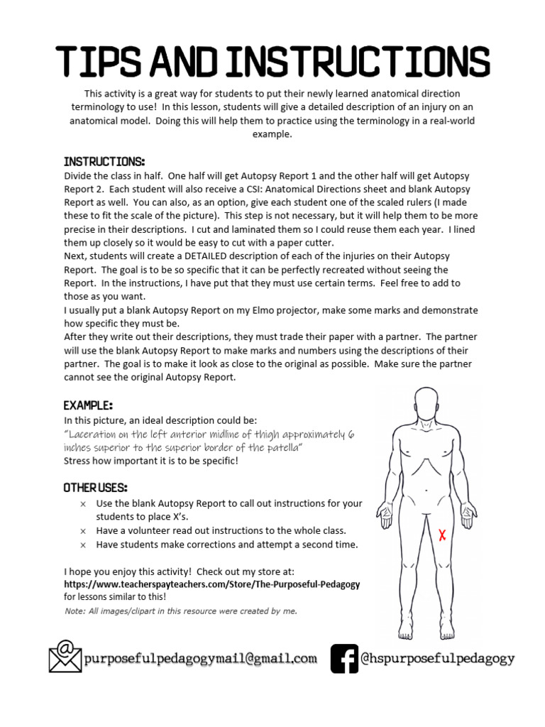 ANATOMICAL DIRECTION REVISED W Answer Key 2 | PDF | Anatomical Terms Of ...