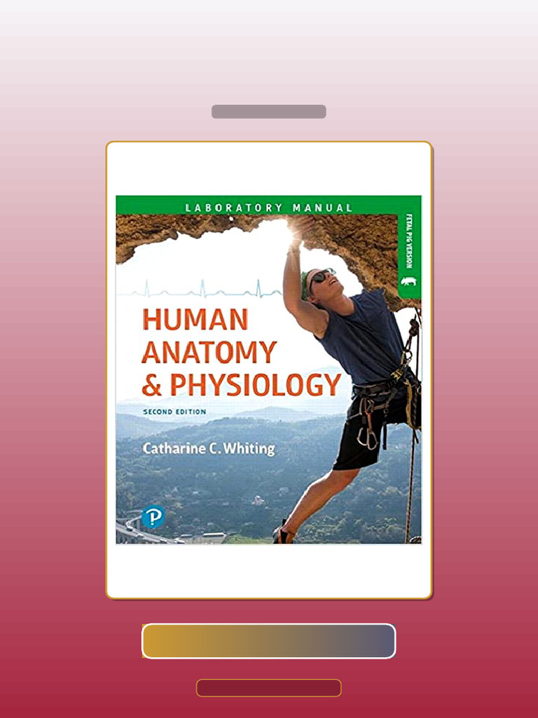 Test Bank for Human Anatomy Physiology Laboratory Manual Making ...