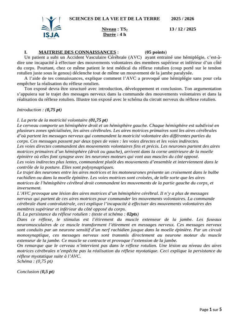 AVC et réflexe rotulien : explications neurophysiologiques | PDF ...