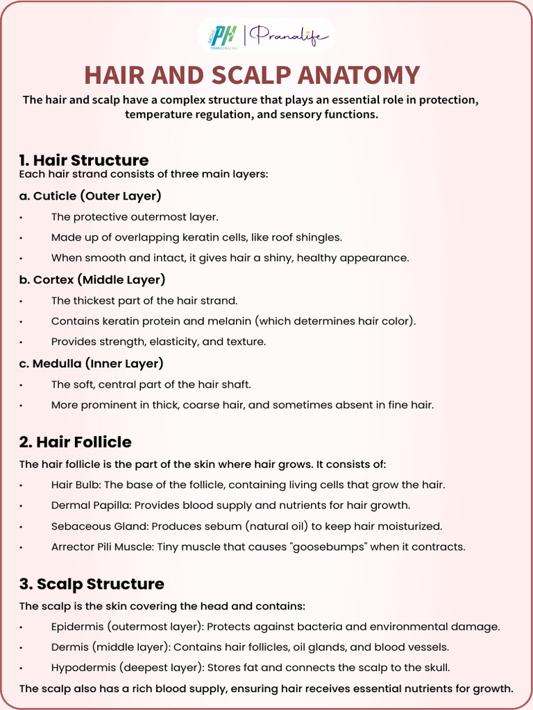 Hair and Scalp Treatment Guide | PDF | Hair | Skin
