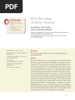Universal COI Primers for Invertebrates | PDF | Polymerase Chain ...