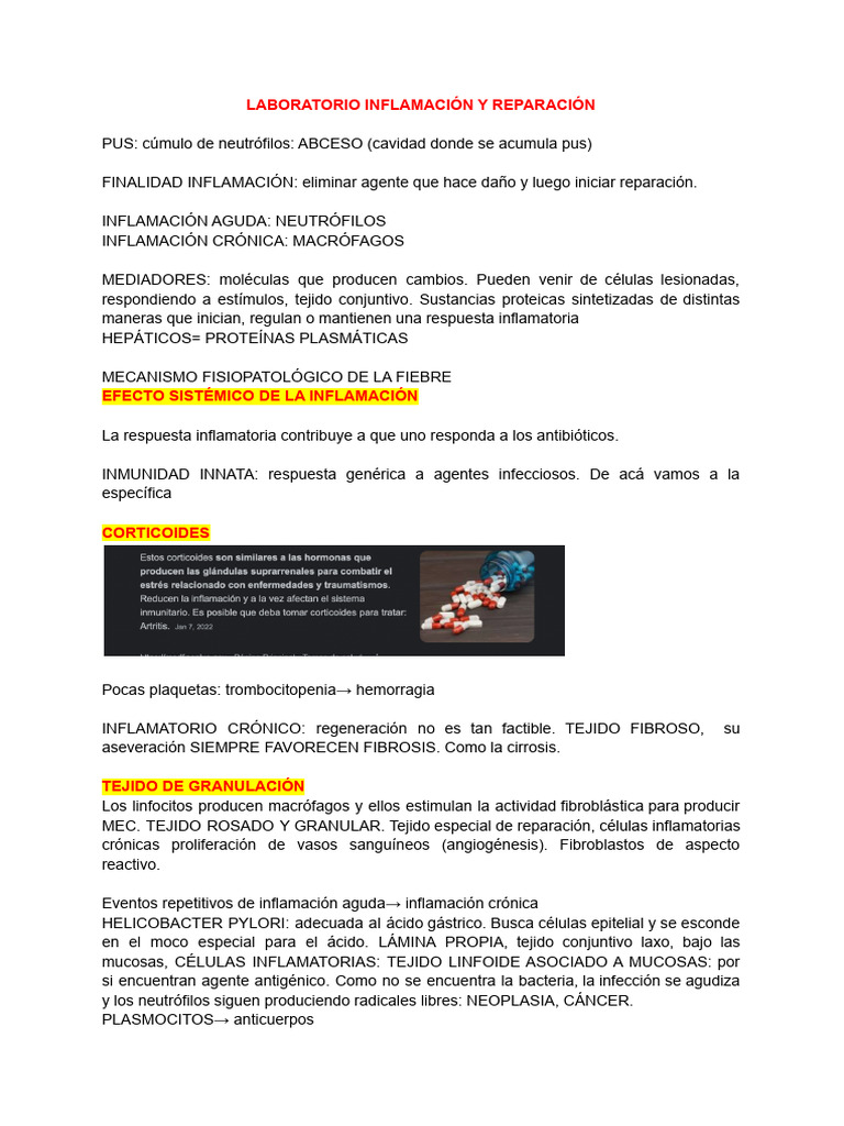 LABORATORIO INFLAMACIÓN Y REPARACIÓN | PDF | Inflamación ...