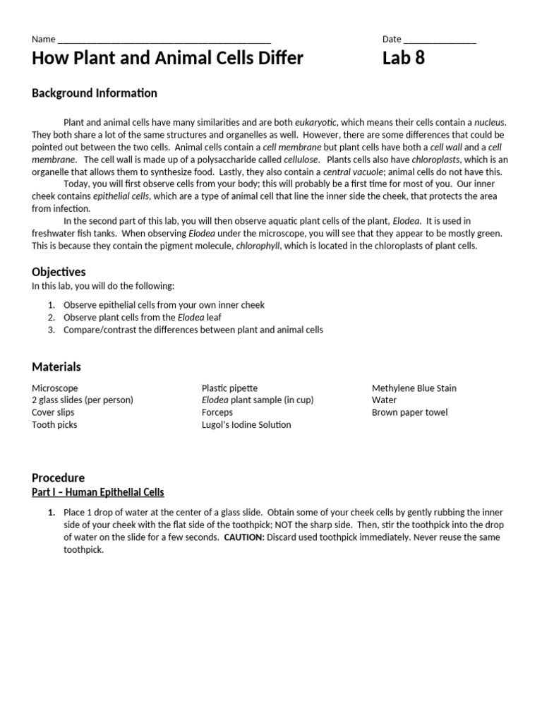 Differences Between Plant and Animal Cells | PDF