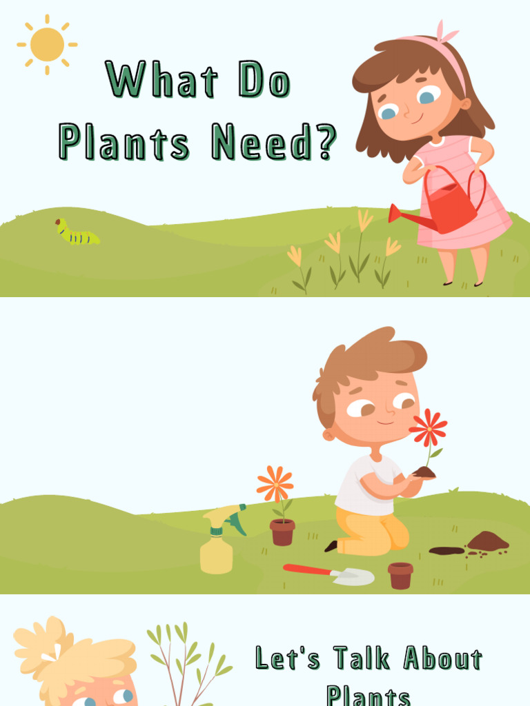 Essential Needs of Plants Explained | PDF