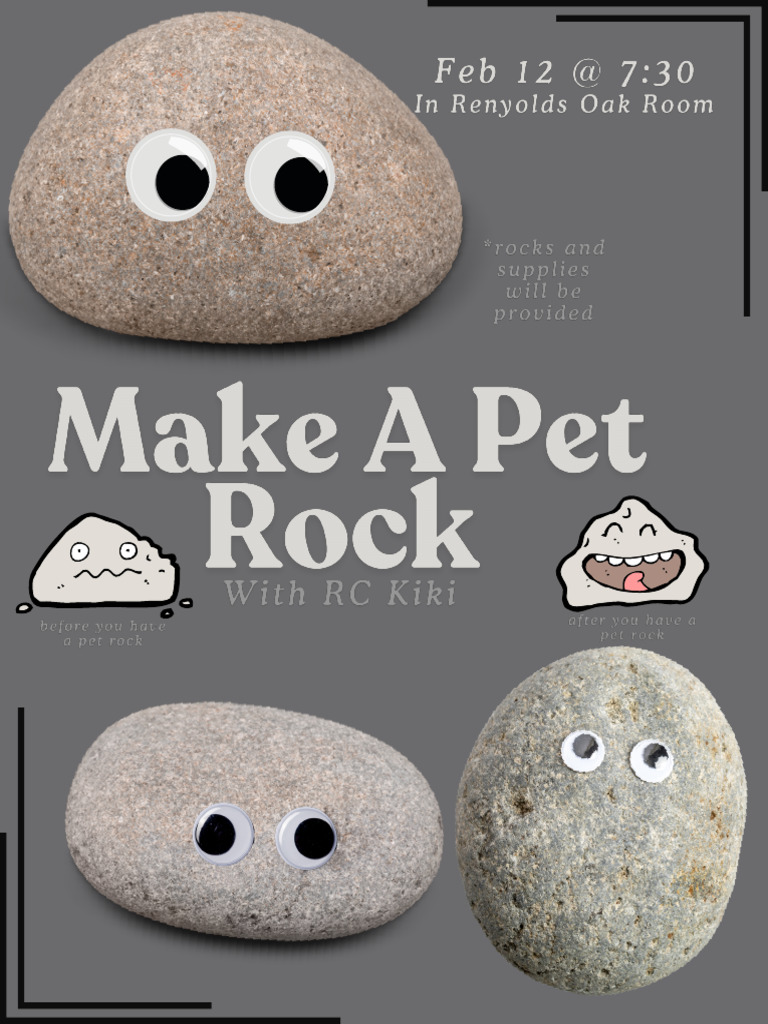 Make Pet Rocks | PDF