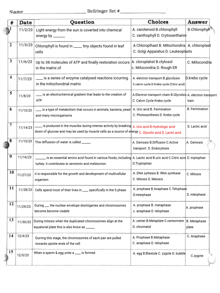 Cohen Benton - Angela Shaw - Bell-ringer-sheet | PDF | Mitosis | Cell ...