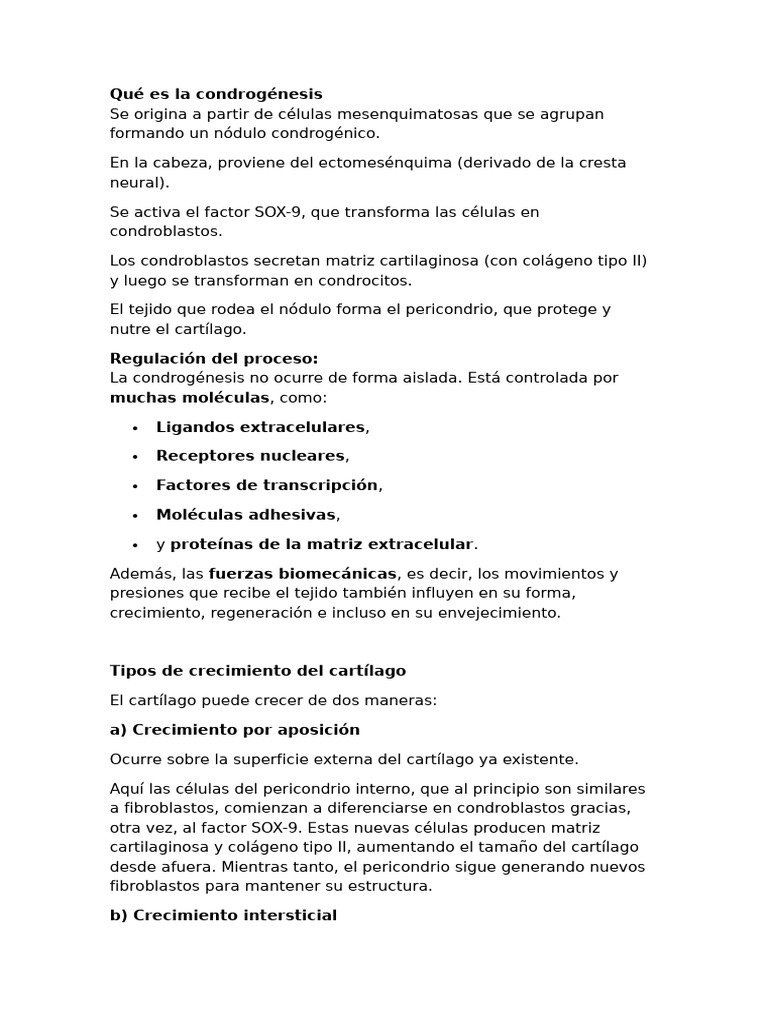 EXPO 2 | PDF | Cartílago | Hueso