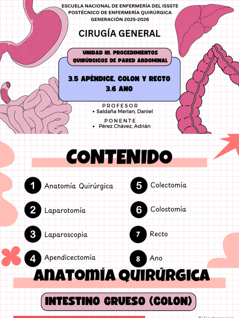 Procedimientos Quirúrgicos del Colon y Recto | PDF | Intestino grueso ...