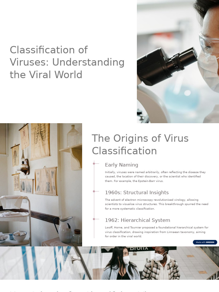 Virus Classification Explained: Key Insights | PDF | Virus | Virology