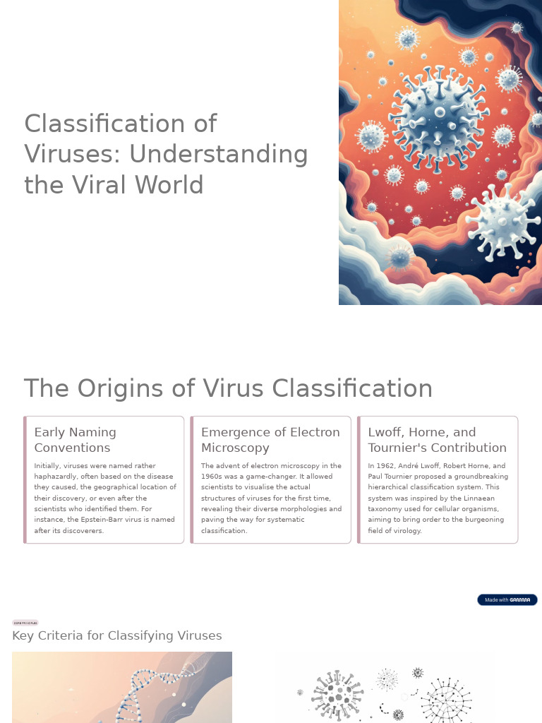 Classification of Viruses Understanding the Viral World (2) | PDF ...