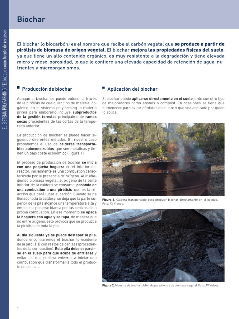 Bio Chart | PDF | Dióxido de carbono | Fertilizante