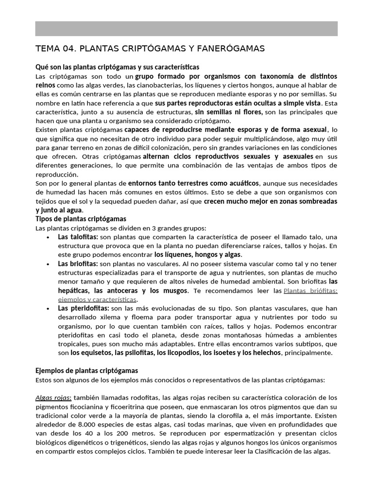 Plantas Criptógamas y Fanerógamas: Guía Completa | PDF | Plantas | Flores