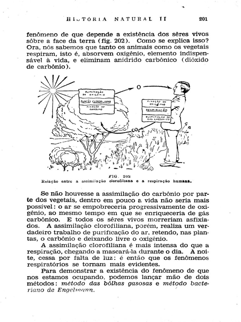 História Natural de 201 a 300 | PDF | Minerais | Anisotropia
