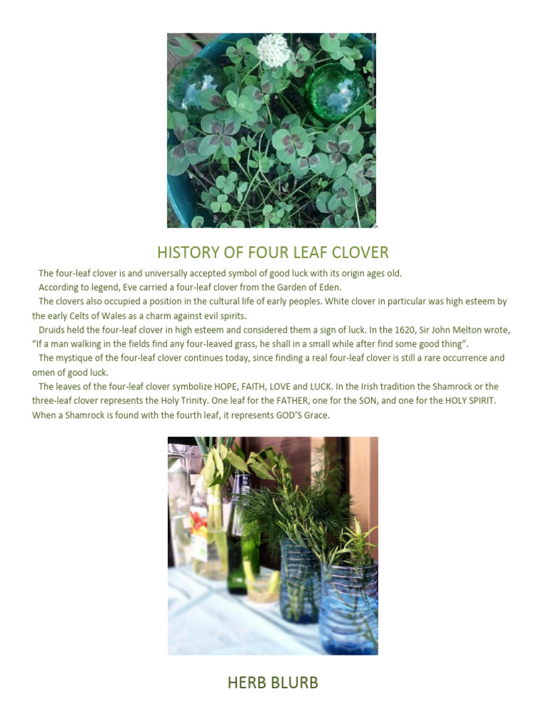 History and Symbolism of Four-Leaf Clover | PDF | Mentha | Clover