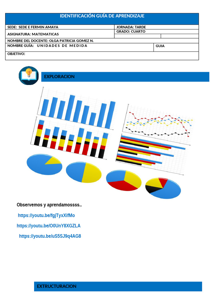 FORMATO GUIAS 2025 | PDF | Gráfico circular