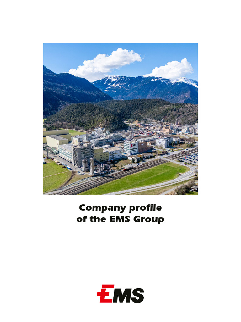 EMS Group Company Profile Overview | PDF | Financial Accounting ...
