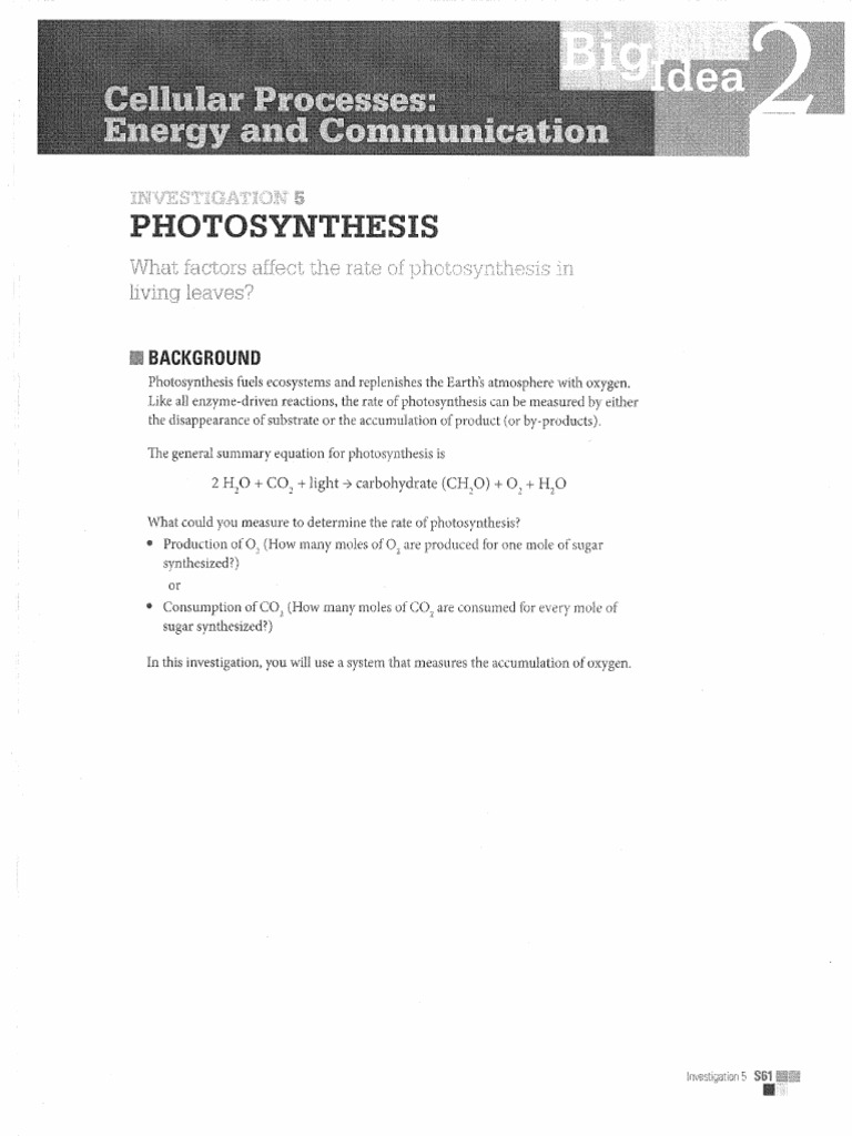 AP Photosynthesis Lab | PDF