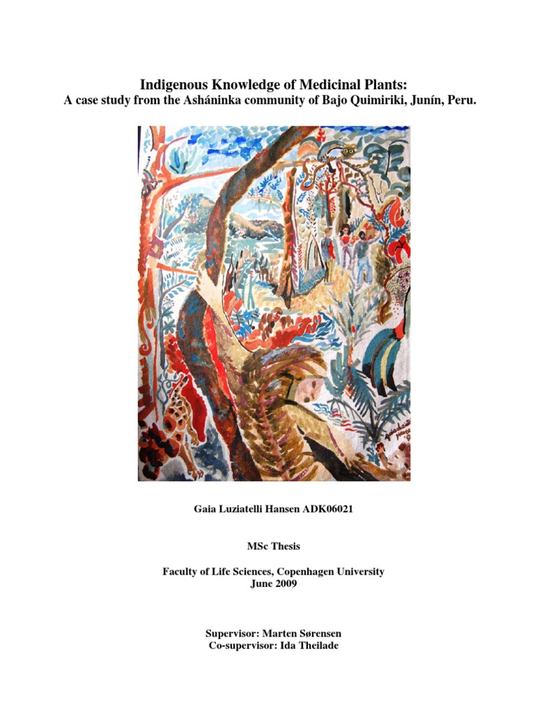 MSC Thesis Ethnobotany - Medicinal Plants - Junín - Peru | PDF ...