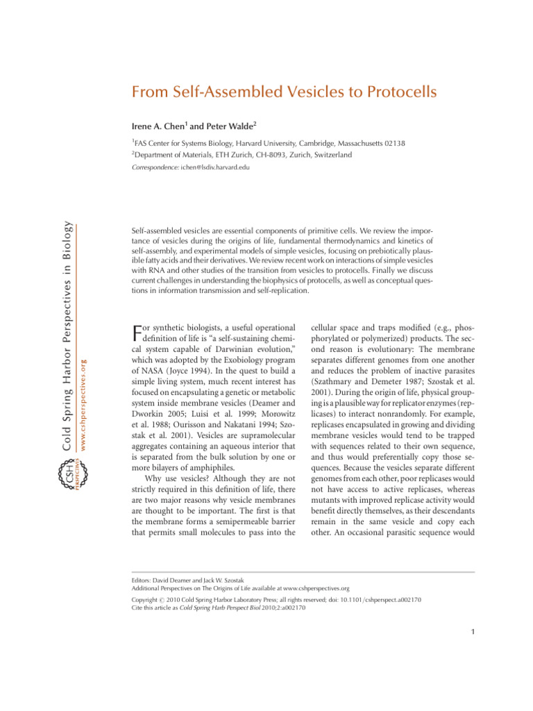 Protocell Article | PDF | Vesicle (Biology And Chemistry) | Cell Membrane