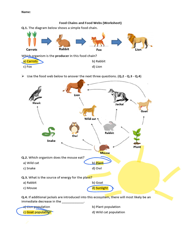 Food Chains and Webs Worksheet Guide | PDF | Foods | Food Web