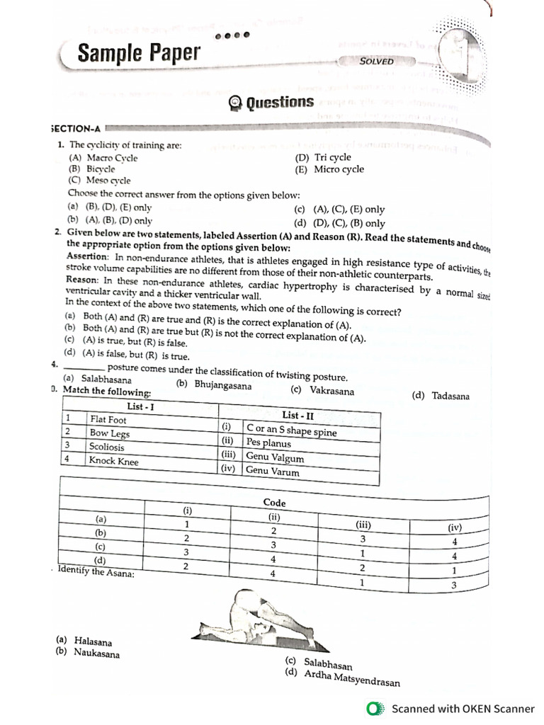Sample Paper PHE | PDF