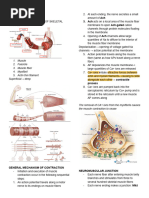 Steps of the Cross Bridge Cycle | PDF | Muscle Contraction ...